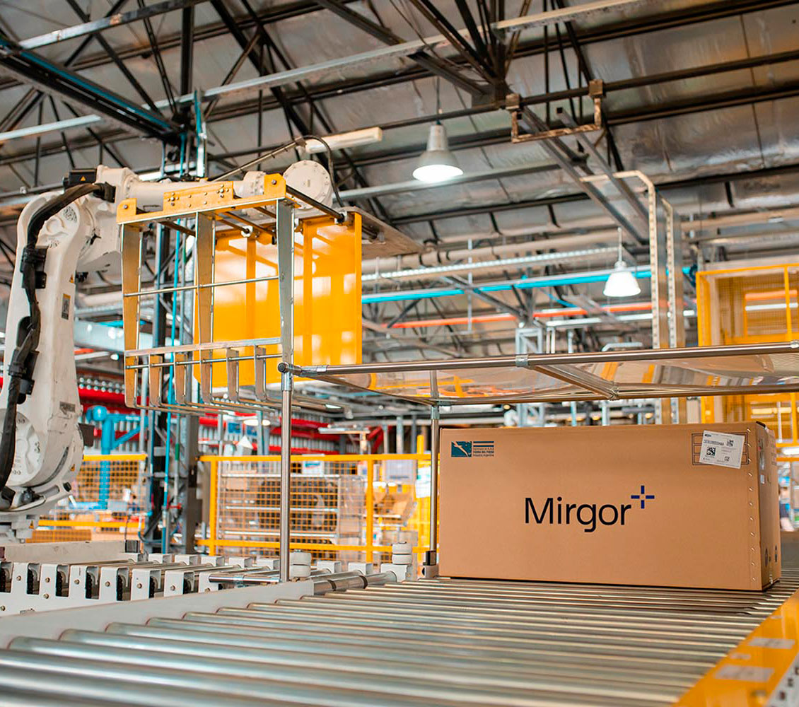 Technology and Vanguard transformation Company - Mirgor